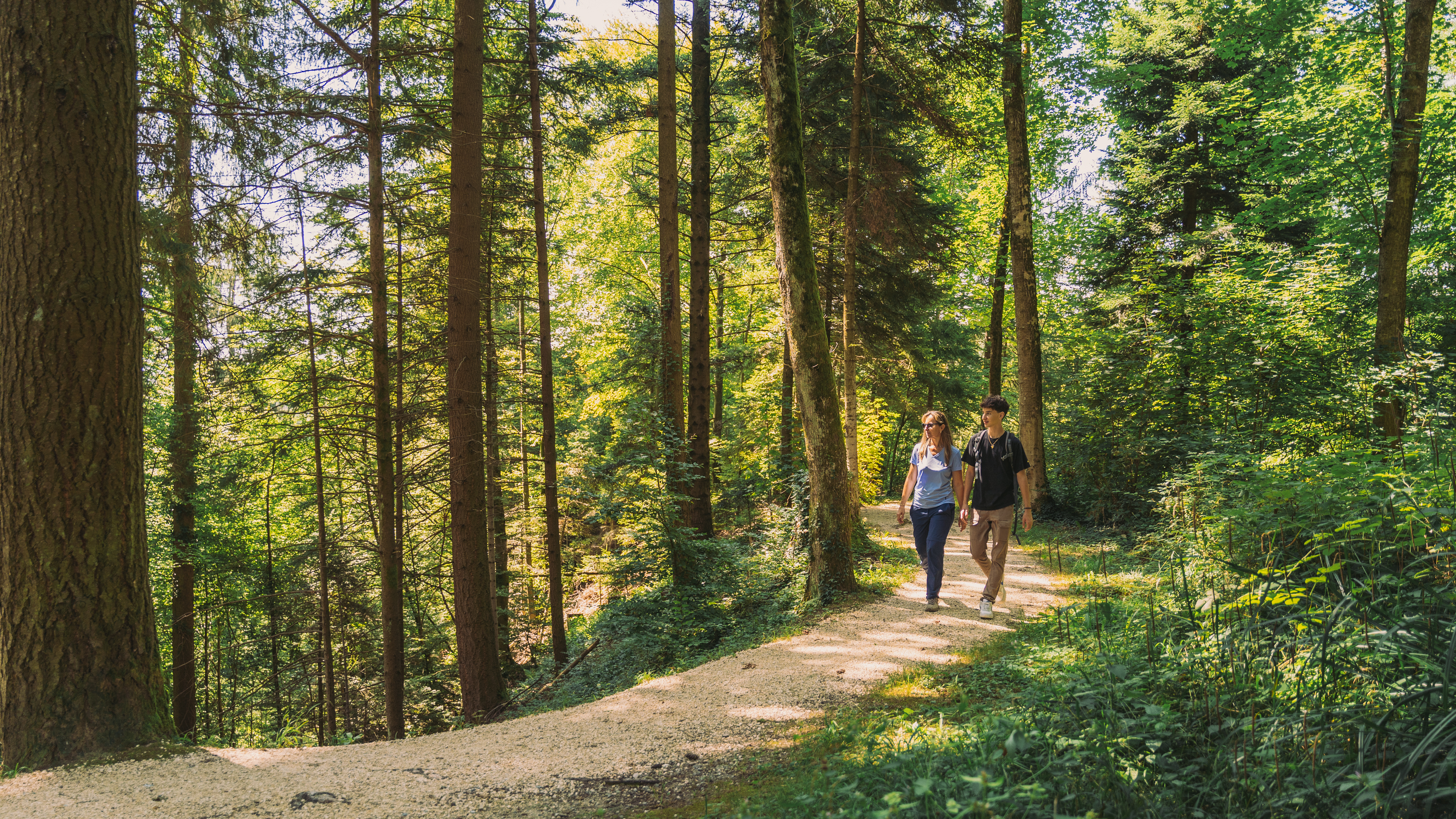 Activités en forêt à Pully | Parcours Vita et sentiers